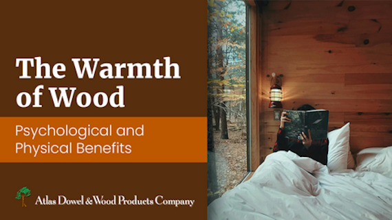 The Warmth of Wood: Psychological and Physical Benefits | Atlas Dowel