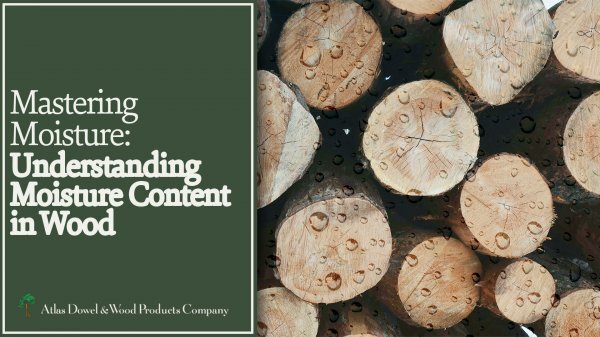 Mastering Moisture: Understanding Moisture Content in Wood | Atlas Dowel